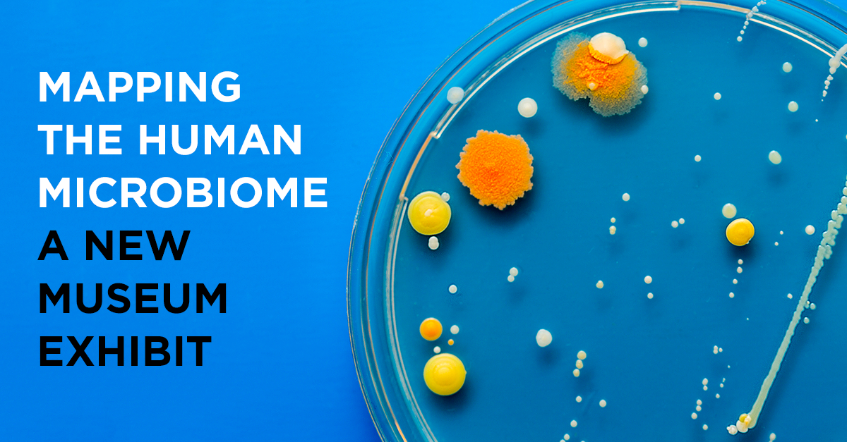 Mapping the Human Microbiome – A New Museum Exhibit - David Perlmutter M.D.