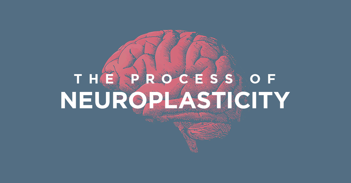 The Process of Neuroplasticity and Making New Connections
