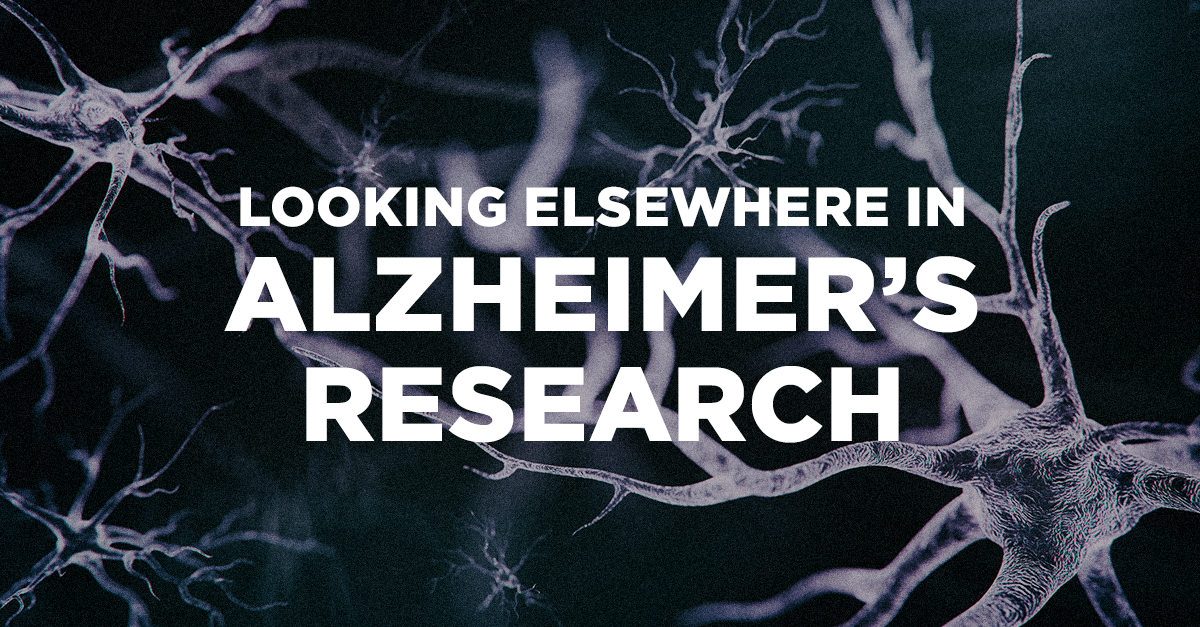 Let's Look Elsewhere in Alzheimer's Research - David Perlmutter MD
